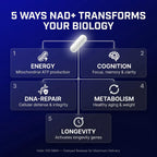 daily energy supplement for athletes