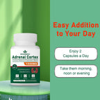 Daily energy support from adrenal extracts