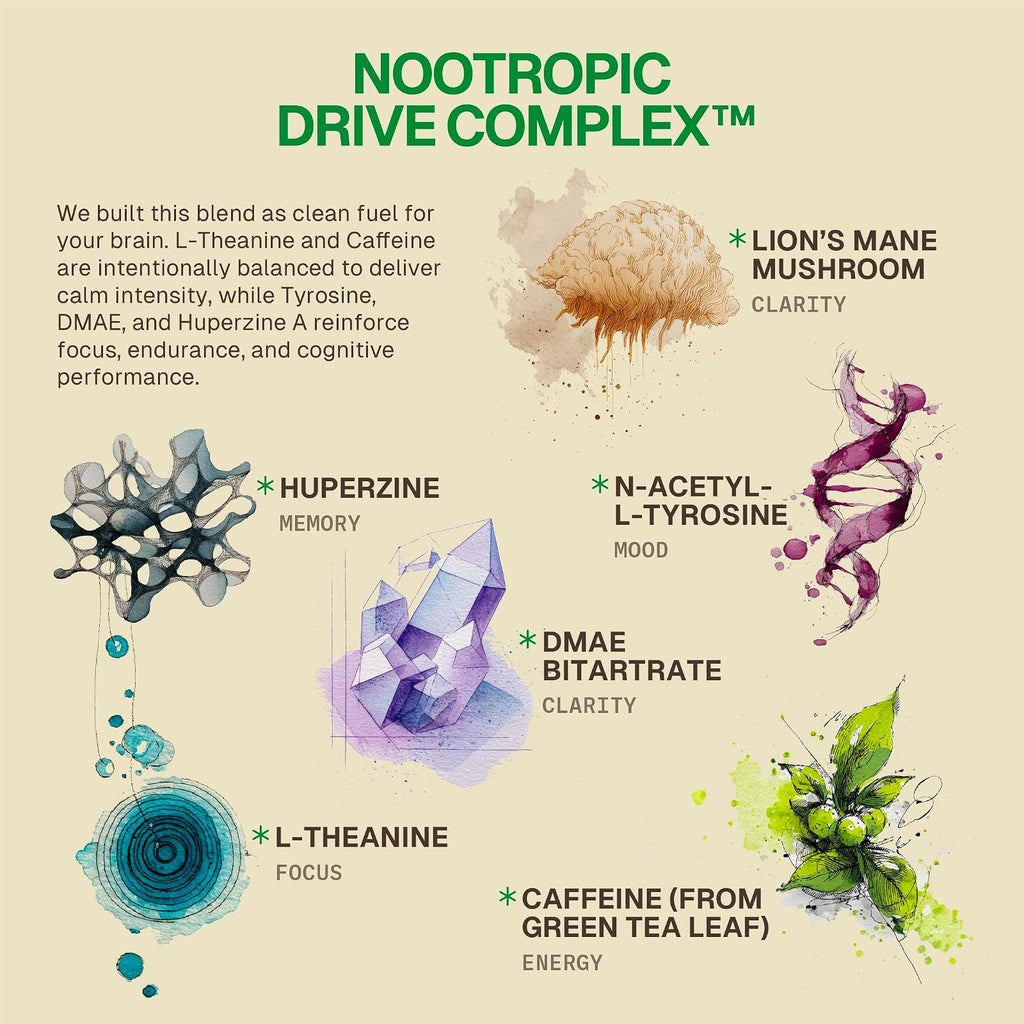 daily energy support lion's mane