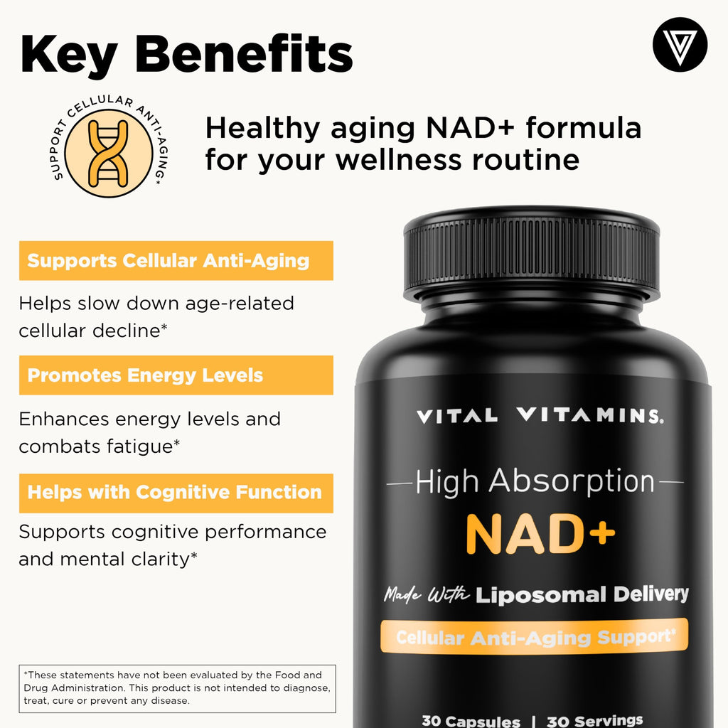 Daily energy support supplement
