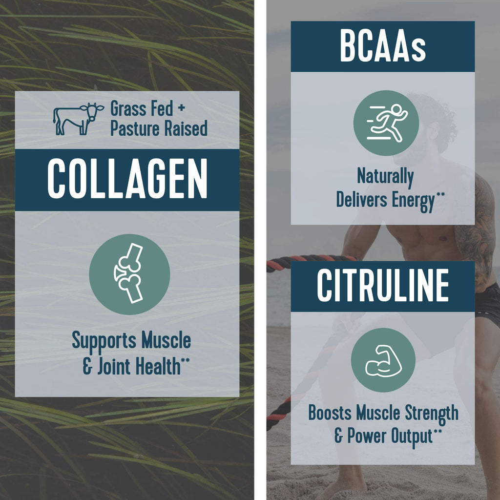 daily energy support supplements