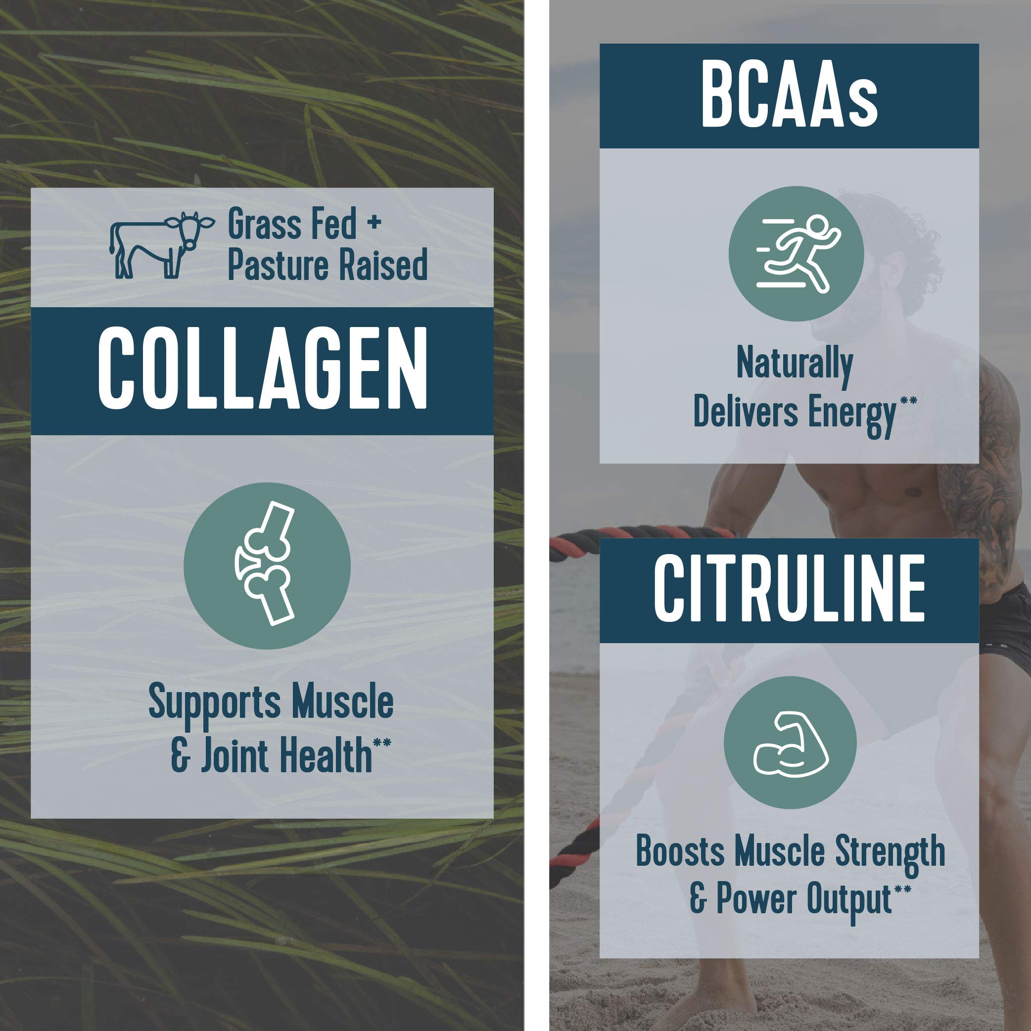 daily energy support supplements