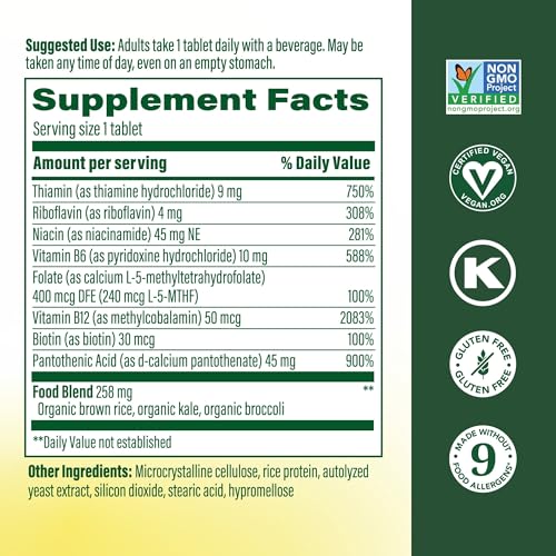 daily energy support vitamin b complex