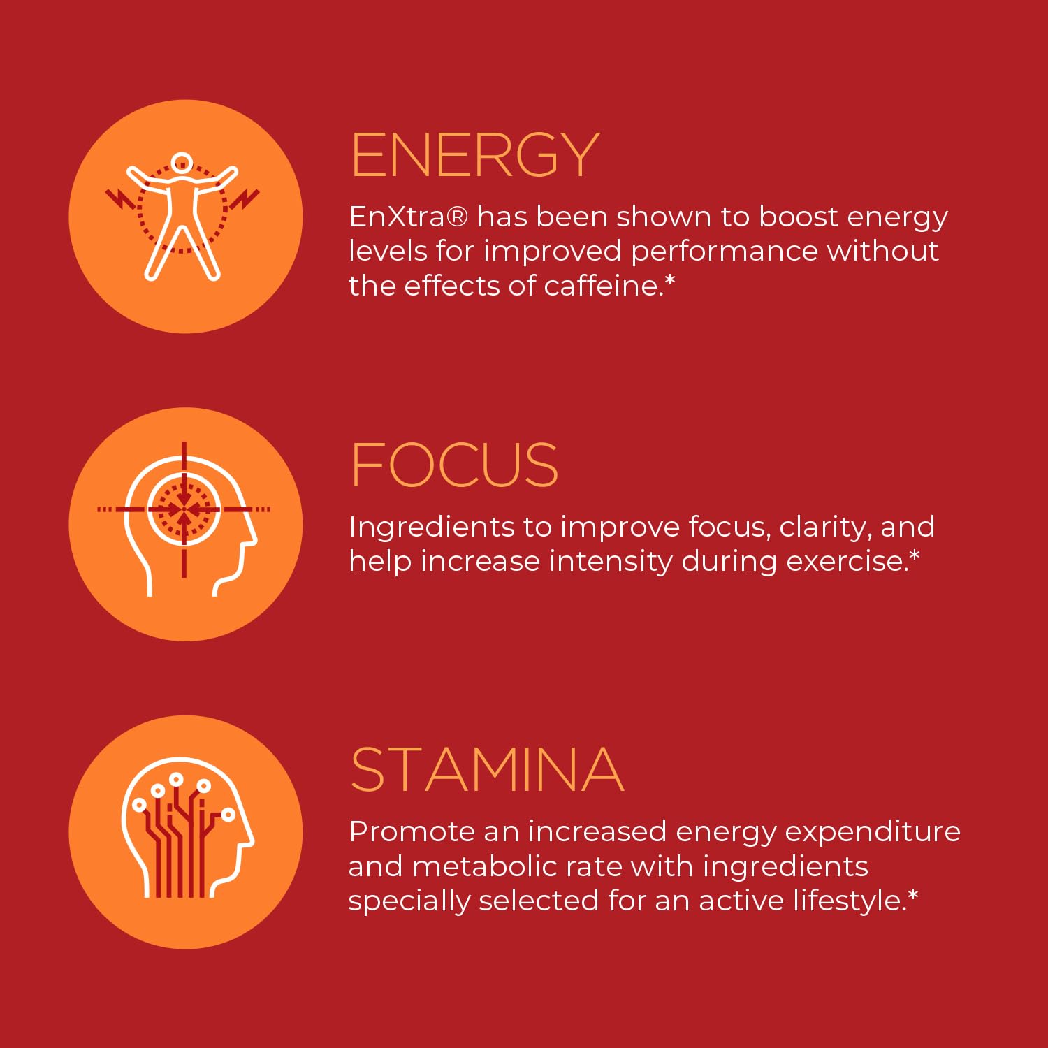 daily energy support vitamin capsules