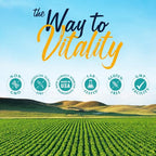 daily energy support with B vitamins
