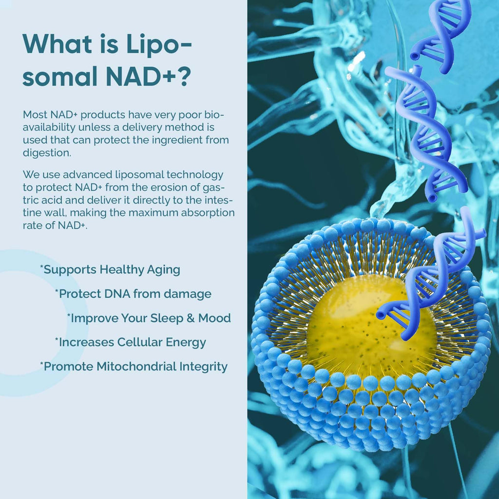 Daily energy support with NAD+ and TMG