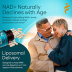 Daily energy support with NMN