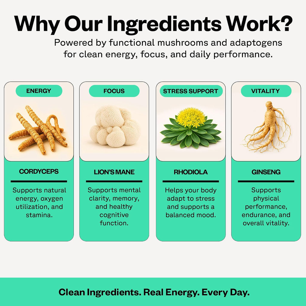 Daily energy support with SuperMush