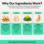 Daily energy support with SuperMush
