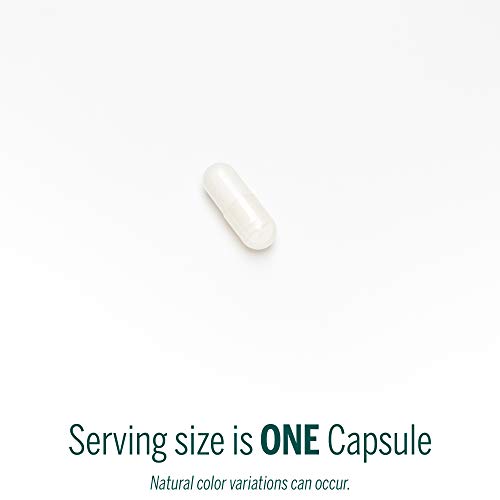 daily essential vitamin and mineral support