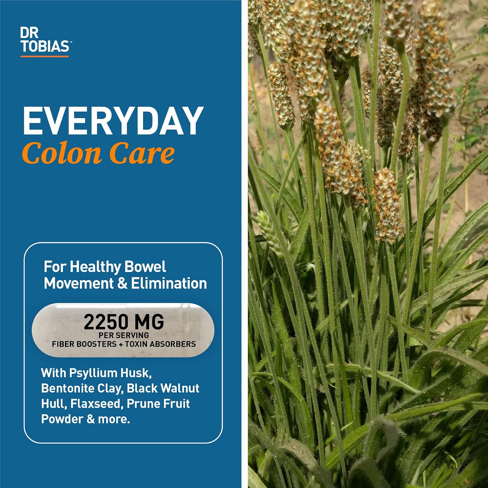 daily fiber supplement for digestion