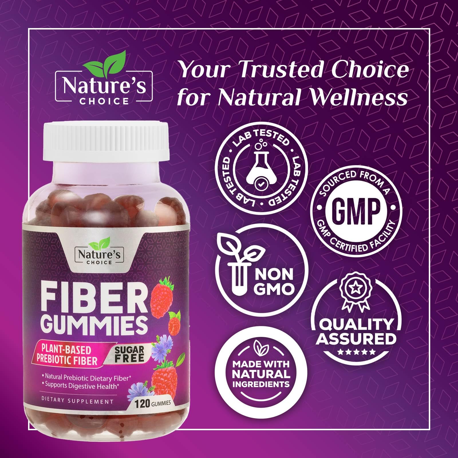 daily fiber supplement for regularity