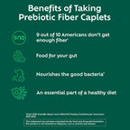 Daily fiber support for digestion