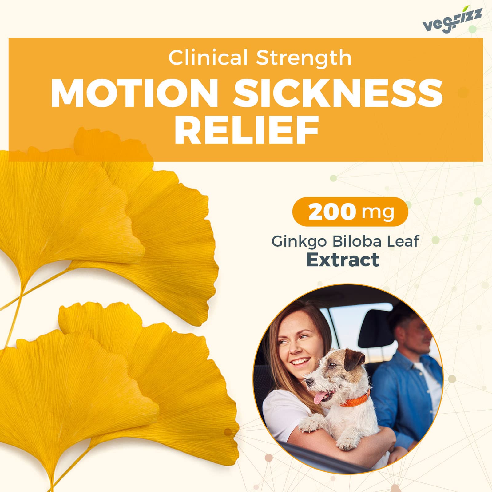daily ginkgo biloba tablet for wellness