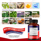 daily ginkgo biloba wellness support