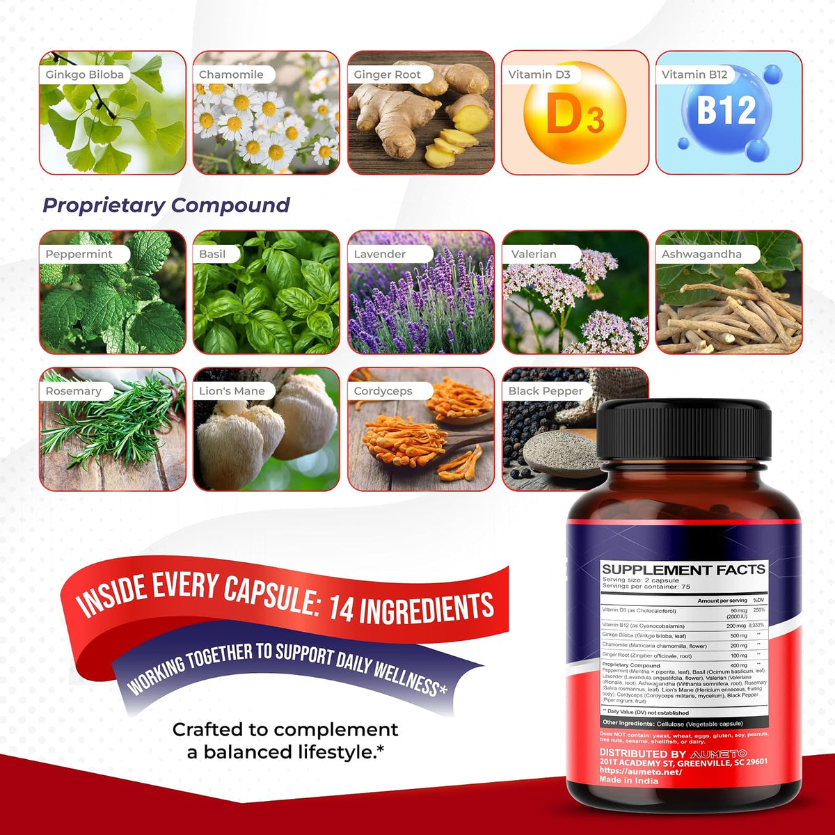 daily ginkgo biloba wellness support