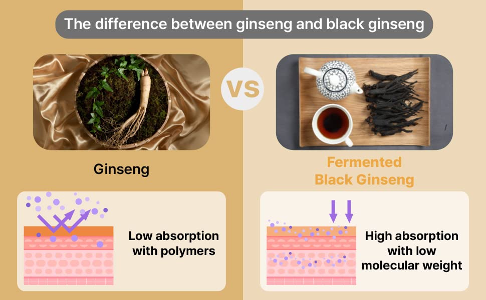 daily ginseng for enhanced focus
