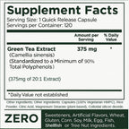 daily green tea health support