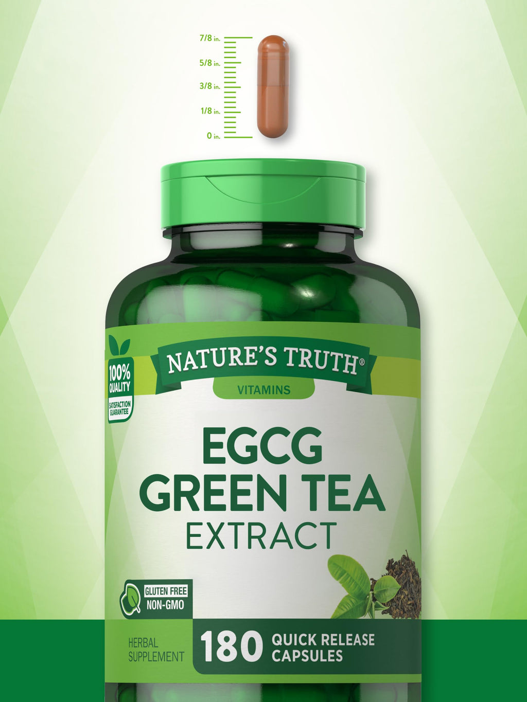 daily green tea supplement routine