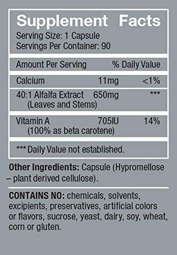 daily greens support for overall wellness