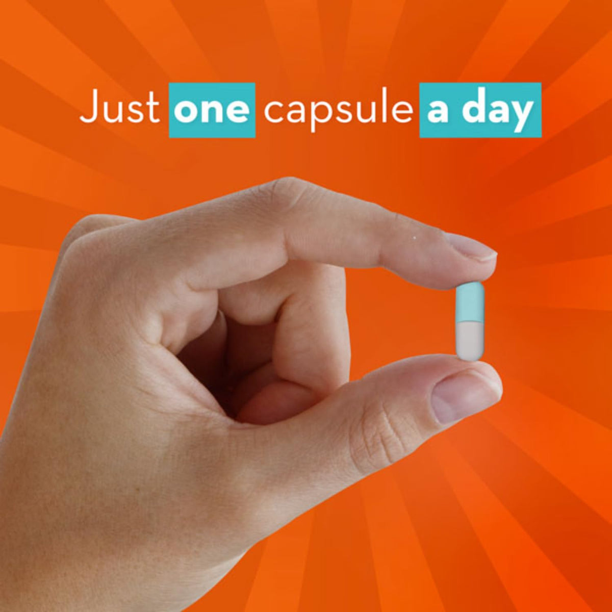 Daily gut health probiotic supplement