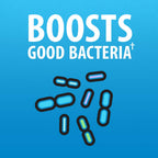 Daily gut health supplement capsules