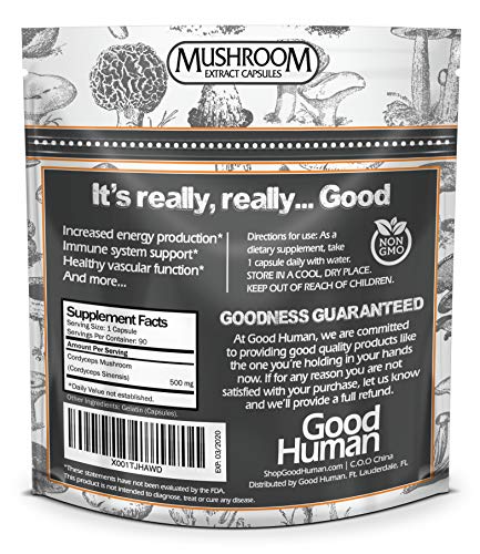 daily health benefits of cordyceps mushrooms