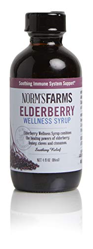 daily health benefits of elderberry