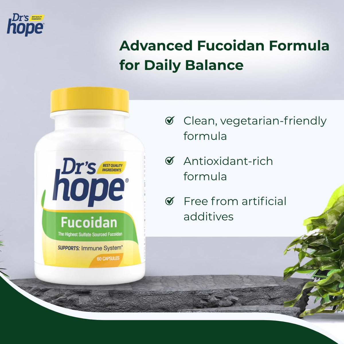 daily health boost fucoidan supplement