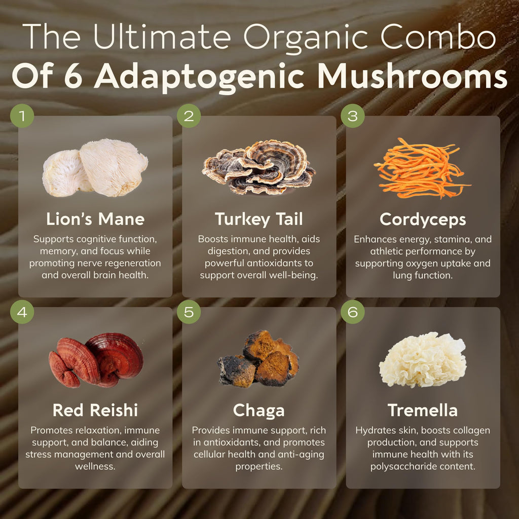 daily health boost with mushrooms