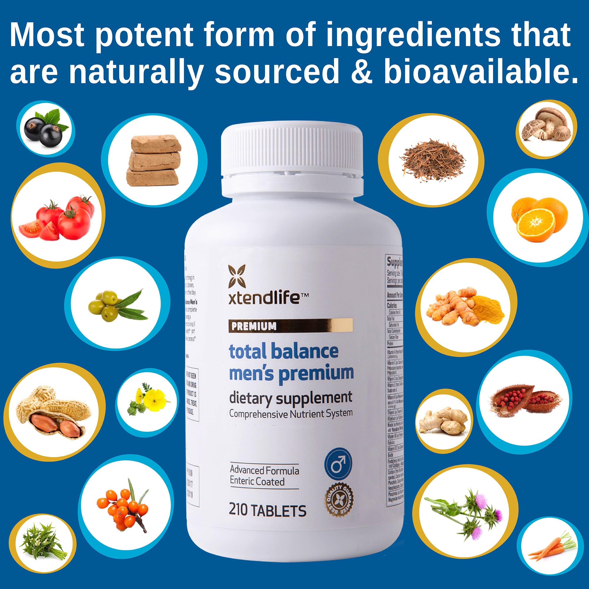 daily health essentials for men