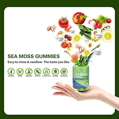 daily health support sea moss gummies
