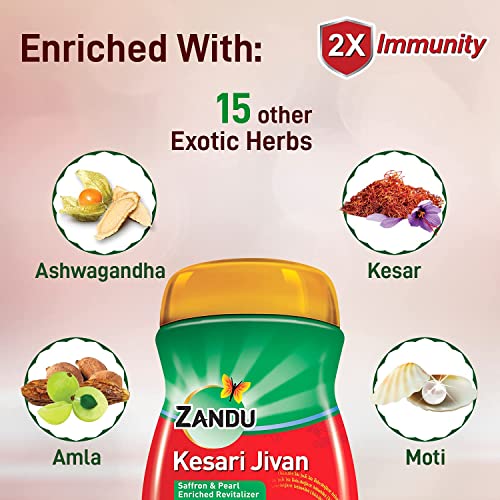 daily health support supplements