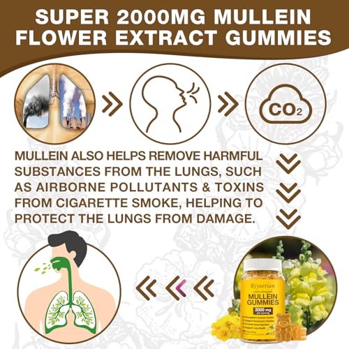 Daily health support with mullein