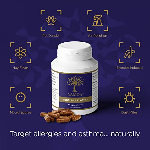 daily health support with Yamoa capsules