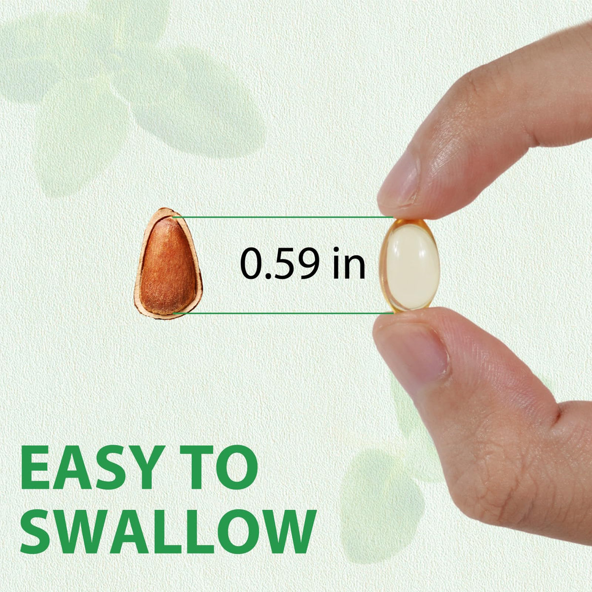 daily health with oregano oil