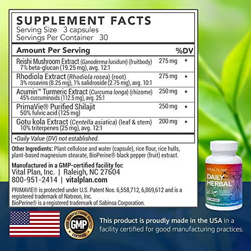 daily herbal blend for wellness