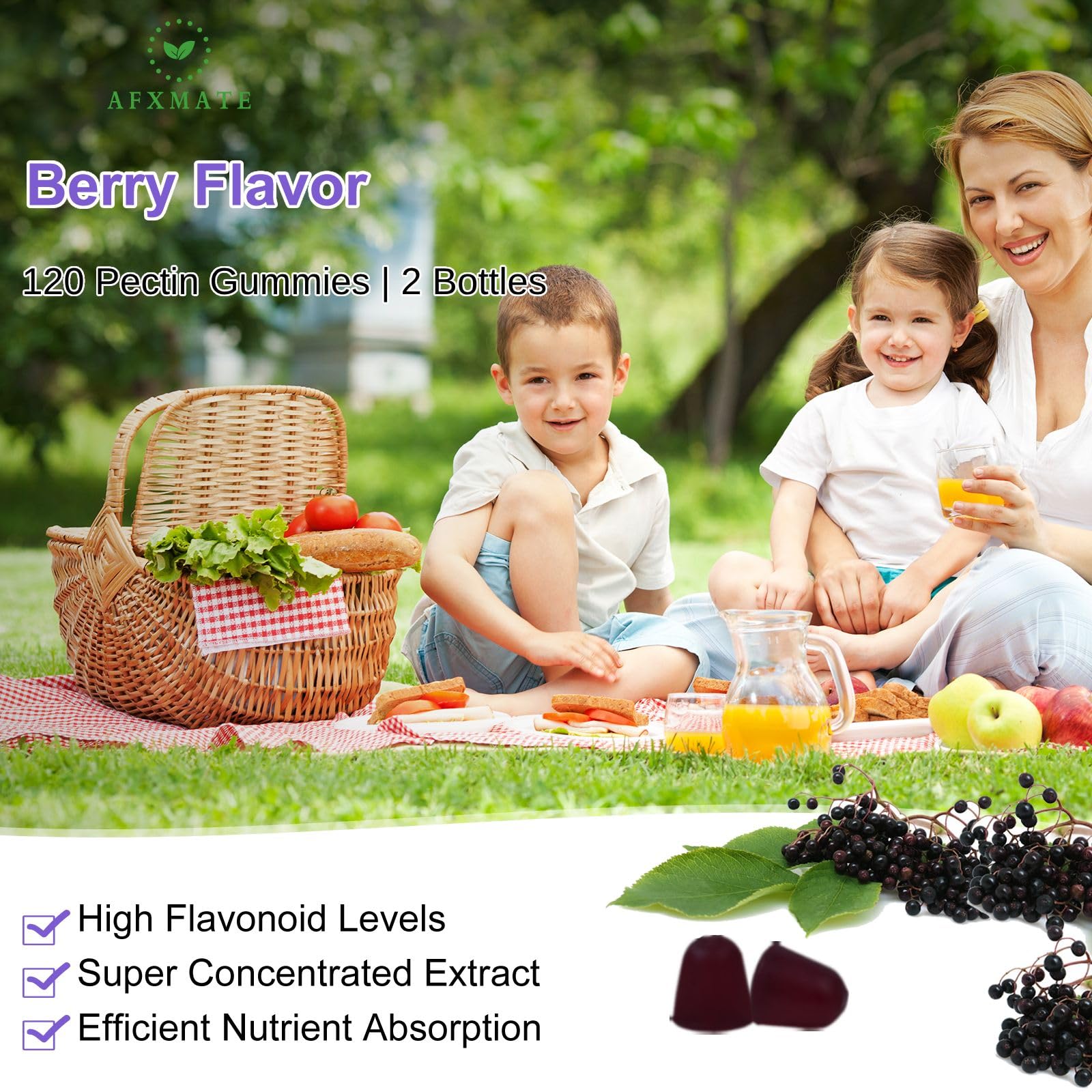 Daily immune support black elderberry gummies