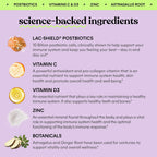 Daily immune support gummies