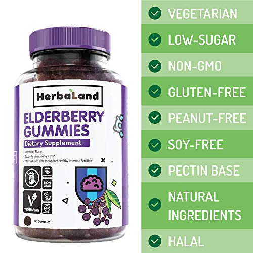 daily immune support with elderberry gummies