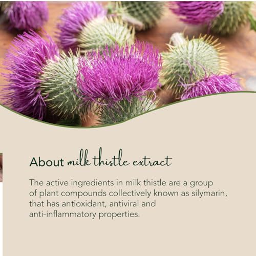 Daily liver health support capsules