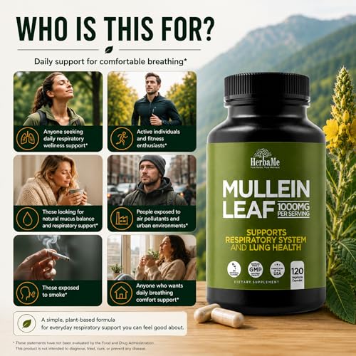 daily lung support with mullein leaf
