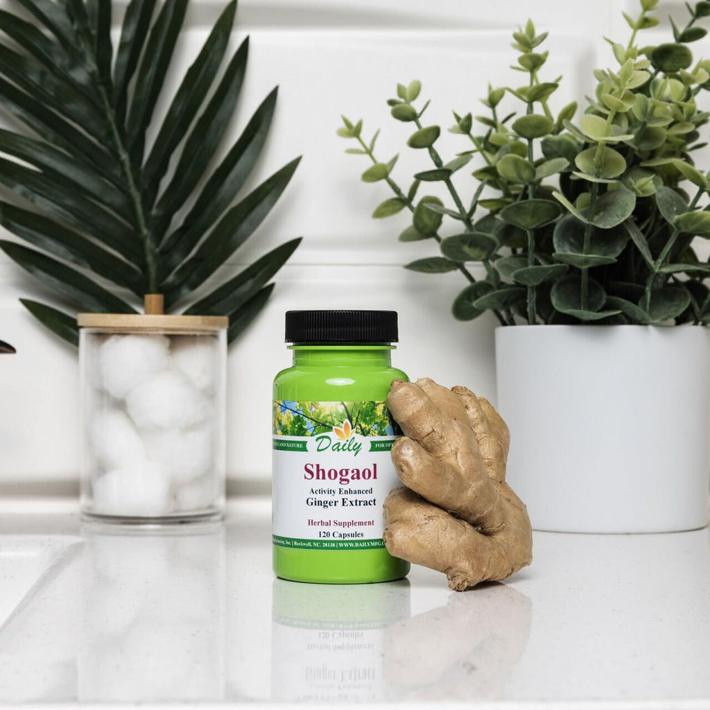 Daily Manufacturing herbal ginger benefits