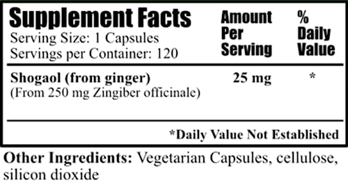 Daily Manufacturing vegetarian ginger wellness