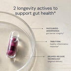 Daily microbiome support capsules Blueprint
