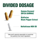 daily multivitamin for active lifestyle