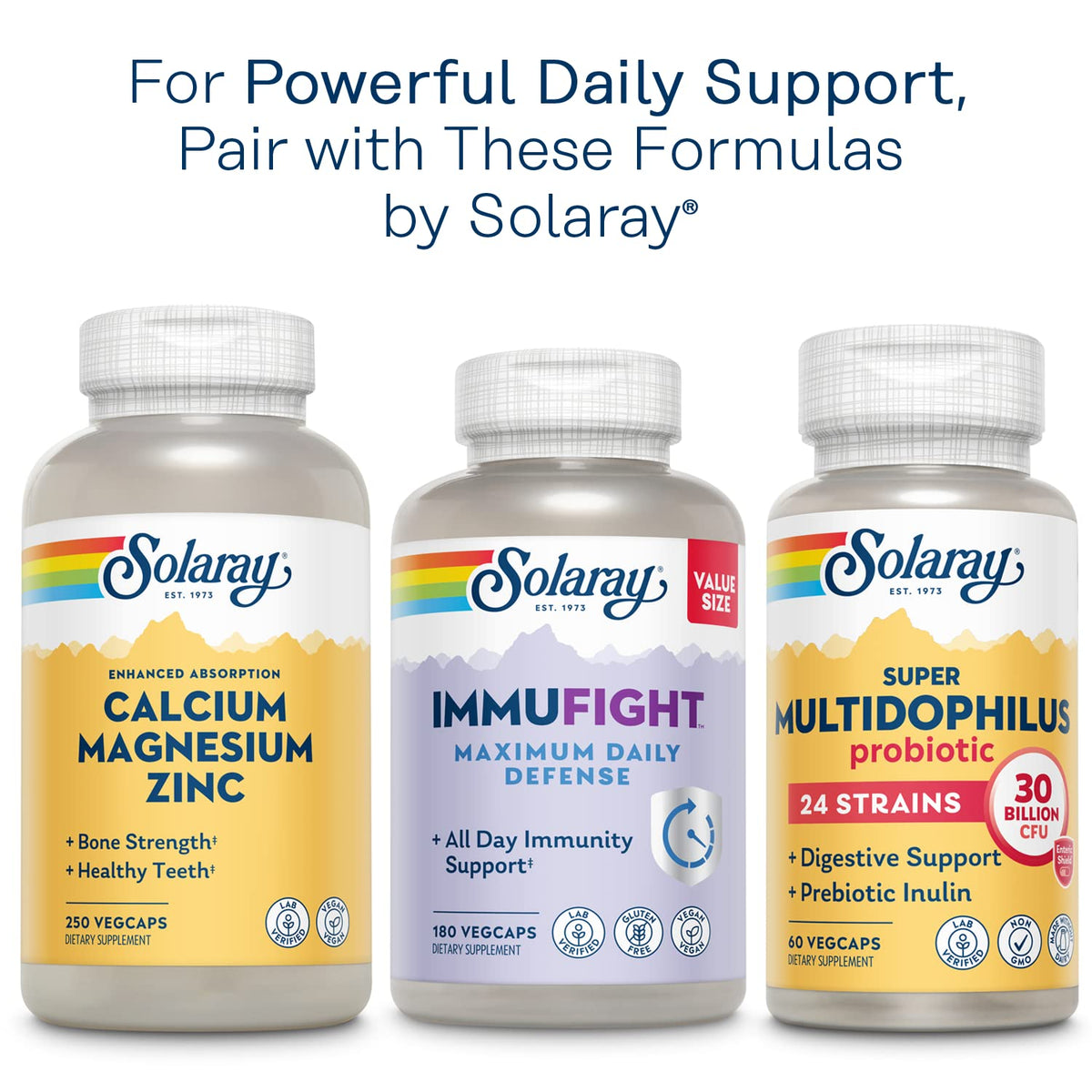 Daily multivitamin for active lifestyles