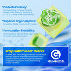 daily multivitamin for active lifestyles