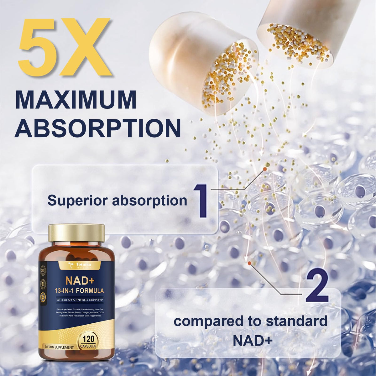 Daily multivitamin for active lifestyles