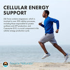 daily multivitamin for men's health